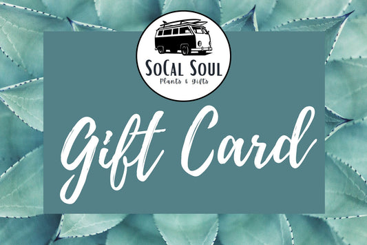 Products – SoCal Soul Plants & Gifts