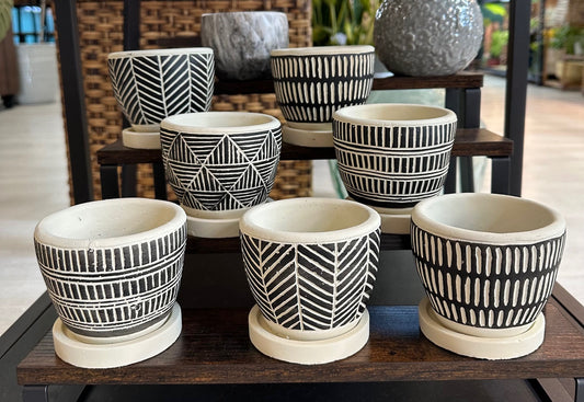 Products – SoCal Soul Plants & Gifts