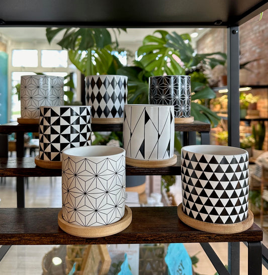 Products – SoCal Soul Plants & Gifts