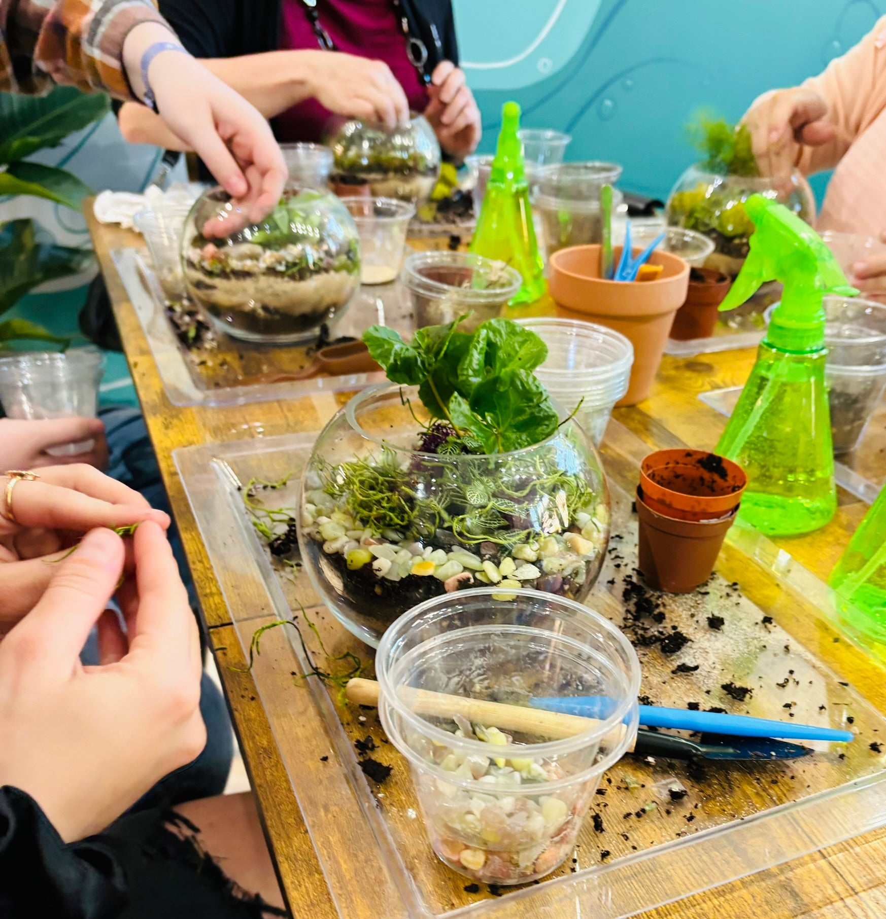 Workshops, Classes & Private Parties – SoCal Soul Plants & Gifts