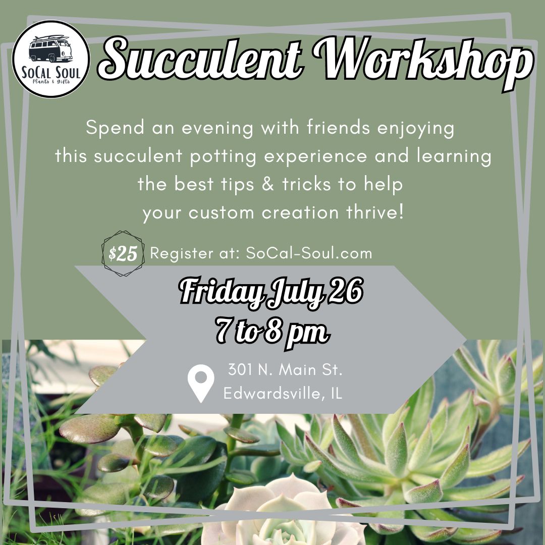 Workshops, Classes & Private Parties – SoCal Soul Plants & Gifts