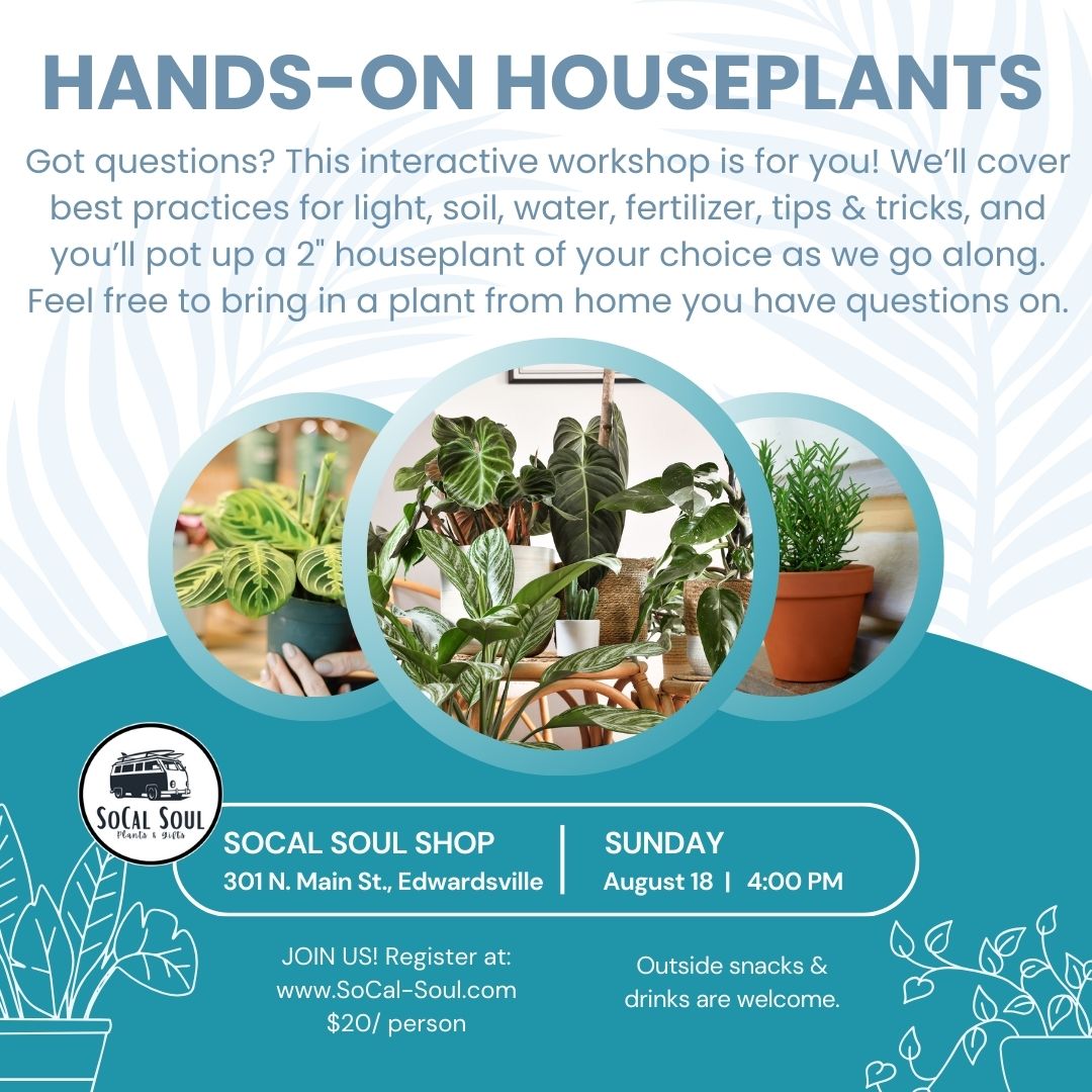 SoCal Soul Plants & Gifts