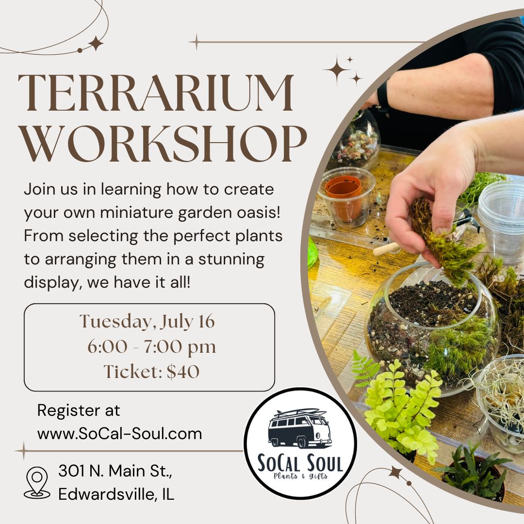 Workshops, Classes & Private Parties – SoCal Soul Plants & Gifts